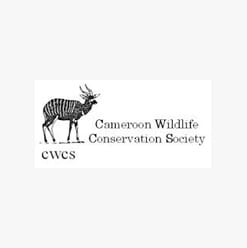 Cameroon WCS Website
